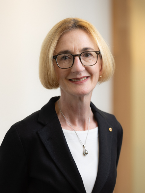 Board - Orygen, Revolution in Mind